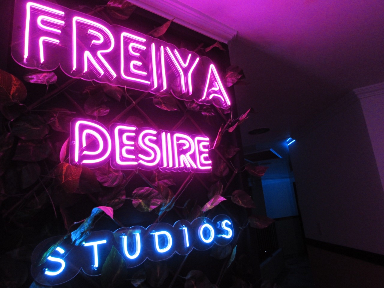 Freiya Desire Studios – Estudio Bogotá